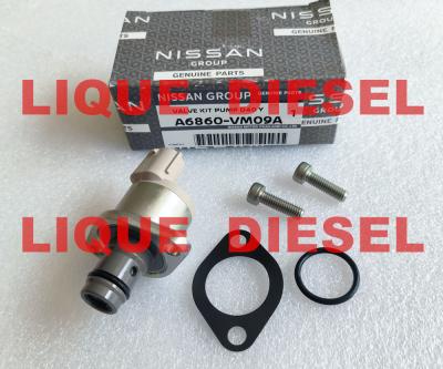 China Overhaul kits A6860-VM09A A6860VM09A A6860 VM09A include valve 294200-0360 en venta