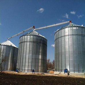 China Grain Scraper  Chain Conveyor for sale