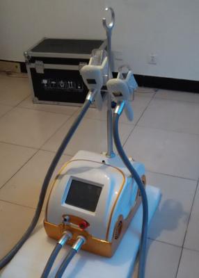 Cina Perdita grassa Cryolipolysis di cura di pelle di 2 maniglie di Cyo che dimagrisce macchina alla perdita di peso in vendita