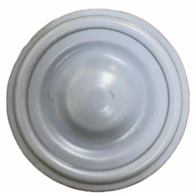 China 100% Pure PTFE Sealing Rubber Diaphragm For INJECTA Dosing / Metering Pump for sale