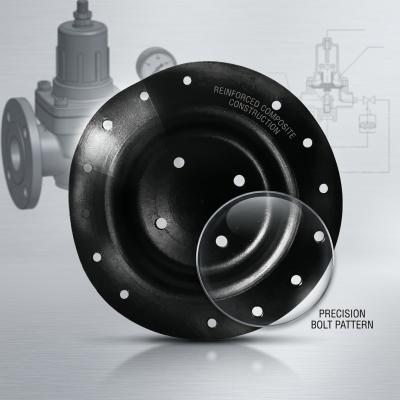 China Replacement Diaphragm Rubber Diaphragm Seals AODD Series FKM Material Durable and Sealing Solution for Industrial Applications for sale
