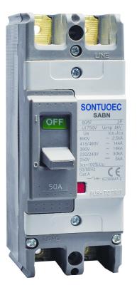 China CE 2 Pole 100A Molded Case Circuit Breaker Mccb for Industrial Use for sale