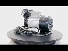 550w erogatore diesel elettrico del combustibile del cherosene della pompa 220v