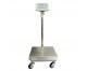 China 200kg Platform Scale for sale