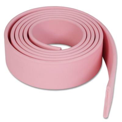 China Blue Pink Poly Coated Nylon Webbing for Dog Collar and Leash for sale