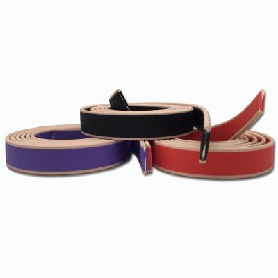 China Fashionable Brand Promotional Custom PVC Coated Webbing Plastic Coated Nylon Webbing dog collar for sale