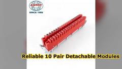 LSA PLUS 10 Pair Detachable Modules for Electronics