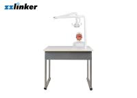 China Dental Phantom Head Simulator Unit 220V 110V for Dental School Training Education for sale