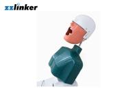China Dental Simulator Unit Teaching System Phantom Head Model with Body for Students 4.4kg for sale
