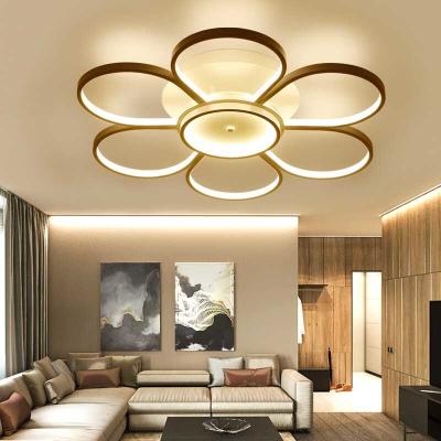 China Basic ceiling light fixture restaurant indoor home lighting (WH-MA-106) for sale