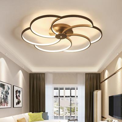 China Modern Style Home decor ceiling lights Fixtures Acrylic Lampshade （WH-MA-116) for sale