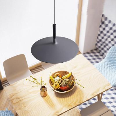 China Nordic round Pendant Lights Modern Led colour lamp ​for Living Room Dining Room Kitchen Home Pendant Lamp(WH-AP-219) for sale
