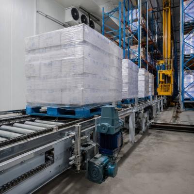 China ASRS Auto Storage System Low Temp For Food And Frozen Goods Warehouses for sale