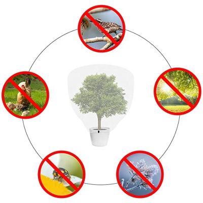 China Plastic Type HDPE Insect Bird Bug Barrier Mesh With Drawstring for Growing Fruit Tree Protection Cover Net Bag in White for sale