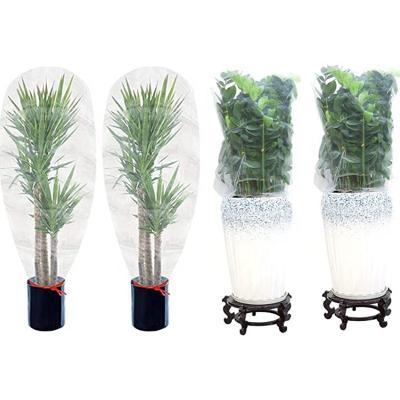 China Plastic Type HDPE Insect Bird Bug Barrier Mesh With Drawstring for Growing Fruit Tree Protection Cover Net Bag in White for sale