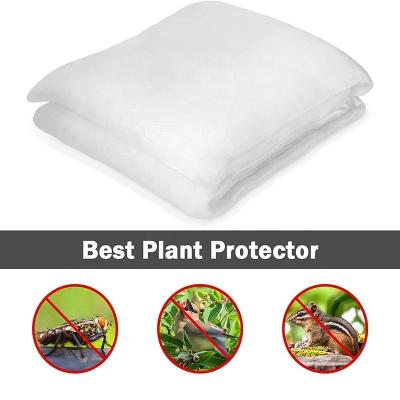 China Plastic Type HDPE Insect Bird Bug Barrier Mesh With Drawstring for Growing Fruit Tree Protection Cover Net Bag in White for sale