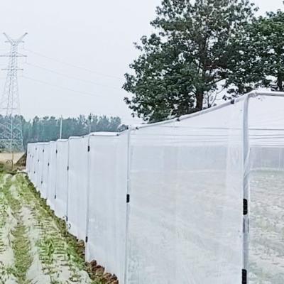 China PE Agriculture Polyethylene Insect Mesh Net for Trees and Vegetable Gardens 20 Mesh Anti Insect Folding for sale