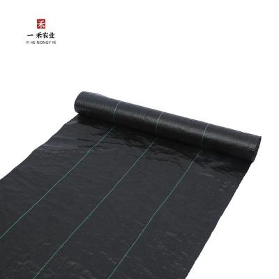 China Plastic Ground Cover Agricultural Weed Control Fabric Mat With PP Woven Nonwoven Net for sale