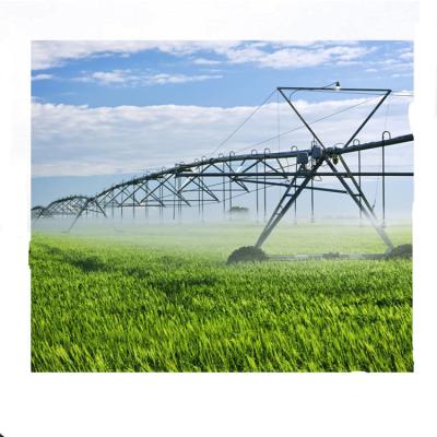 China 160 Inch Diameter Center Pivot and Lateral Linear Move Irrigation System for Improved Farming Efficiency in Agriculture for sale
