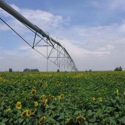 China Maize Direct Supply Large Scale Farming Center Pivot Irrigation Machine Systems with 168 cm Diameter and Ha at Restaurant for sale