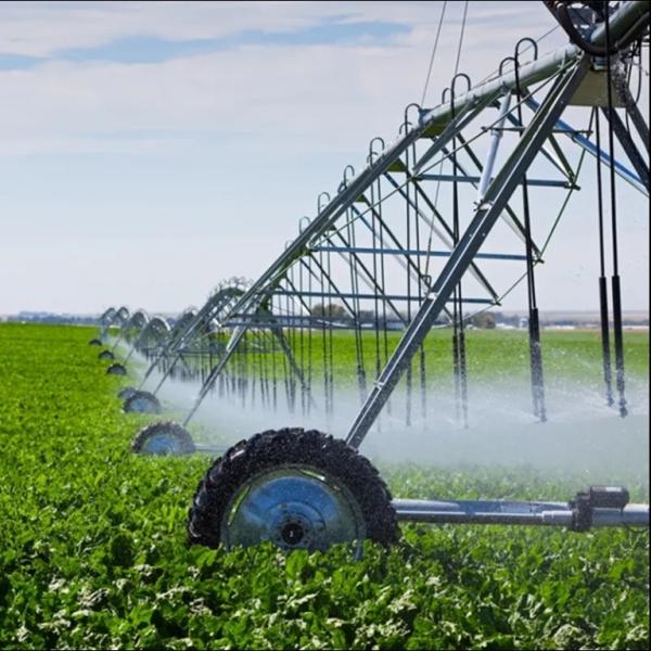 Quality 3650 KG Digital Center Pivot Irrigation System for Increased Farm Profitability for sale
