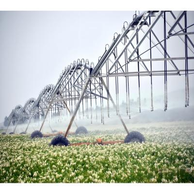 China Remote Monitoring 2025 Irrigation Wheel Line Side Agricultural Irrigation System for Pivot Irrigation Machine for sale