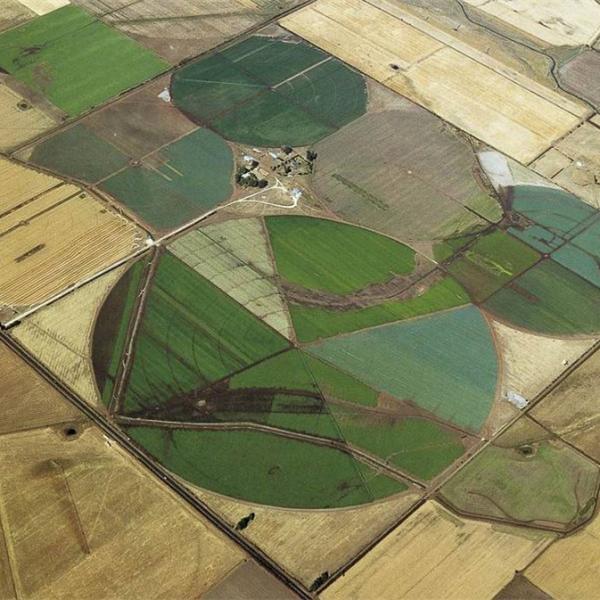 Water-saving Center Pivot Irrigation Sprinkler for Restaurant Farming