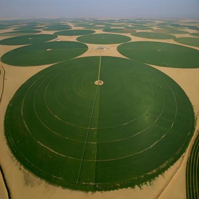 China 230-inch Diameter Large Center Pivot Irrigating Machine Perfect for Wheat Pump Gear Core for sale