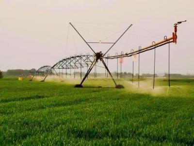 China Unmatched  Farms With Water-Saving Center Pivot Irrigation Sprinkler And Engine for sale