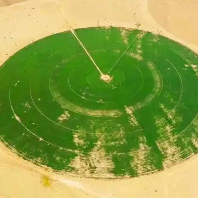 China Customizable Center Pivot The Ultimate Water Saving Solution for Yield Agricultural Operations and Restaurants for sale