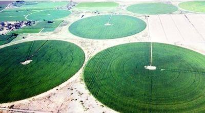 China Cutting-Edge Center Pivot Farms To Advanced Irrigation With Remote Monitoring for sale