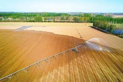China Cutting-Edge Center Pivot Farms To Advanced Irrigation With Remote Monitoring for sale