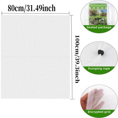 China 6*9inch Nylon Mesh Netting Bag for Garden Plant and Fruit Protection Say Goodbye to Harmful Pesticides for sale