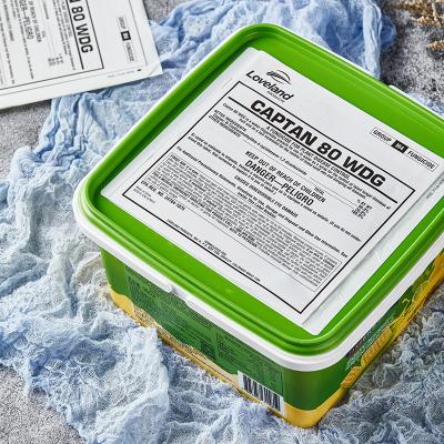 Cina Autoadesivo di plastica di stampa su ordinazione dell'etichetta di IML pp per i contenitori del gelato del biscotto in vendita