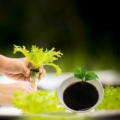 China Organic Foliar Fertilizer Amino Acid Chelated Ca Mg Liquid Crop Fertilizers for sale