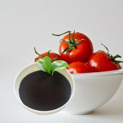 Cina L'aminoacido del fertilizzante organico Ph7-9 spolverizza il ferro chelatato solubile in acqua O-O 4,8 in vendita