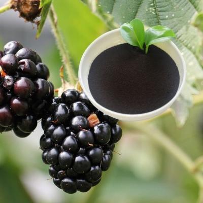 Cina L'aminoacido del fertilizzante organico Ph7-9 spolverizza il ferro chelatato solubile in acqua O-O 4,8 in vendita