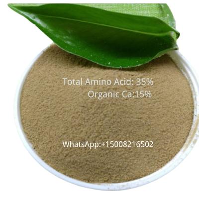 China Banana Planting Amino Acid Chelated Micronutrients Organic Calcium Fertilizer for sale