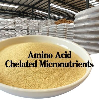 China Cu Fe Zn Mn B Mo Amino Acid Chelate Micronutrients Organic Foliar Fertilizer for sale