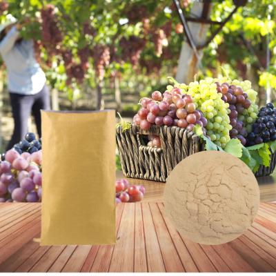 Cina Materiale organico naturale del fertilizzante della polvere dell'aminoacido di mn estratto per germinazione dei semi in vendita