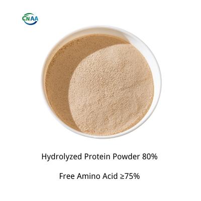 Cina Proteine idrolizzate di origine vegetale in polvere 80% Aminoacidi liberi 75% Polvere gialla Cl 1% in vendita