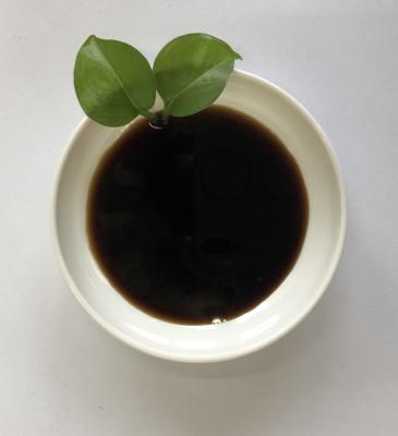 China Organic Liquid Fertilizer Solution With Total Amino Acid 30%-50% And 50% Peptides for sale