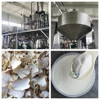 China AGRO-SYNERGY AMINO BIOSTIMULANT High-Efficiency Plant Metabolic Enhancer With Clinically Validated Amino Acid Technology for sale