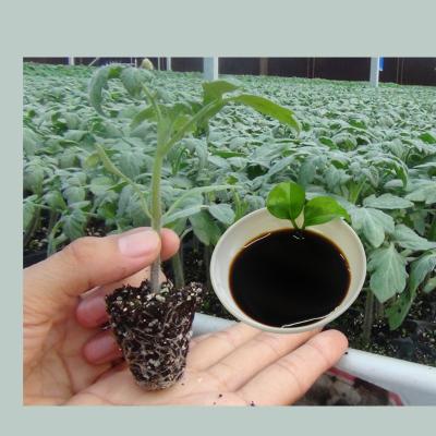 China Amino Acid Chelated Cu Fe Zn Mn B Mu Amino Acid Liquid Fertilizer for sale