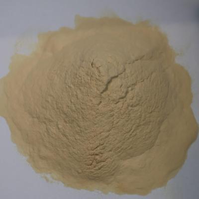 China High-Purity Enzymatic Hydrolyzed Soy Protein Powder for Enhanced Fermentation Efficiency - 80% Amino Acid Content for sale
