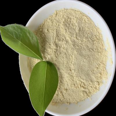 Cina Magnesio dei micronutrienti chelatato aminoacido del fertilizzante organico in vendita