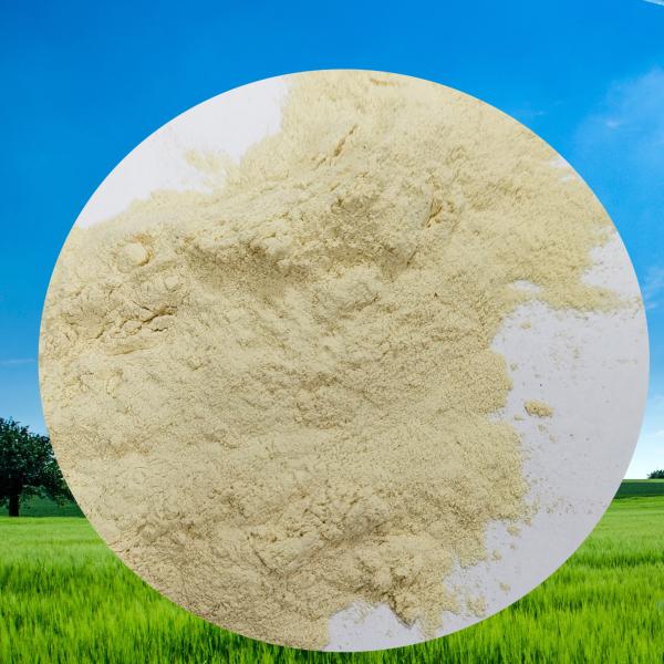Quality PH4~6 Amino Acid Chelated Mn Powder Element Fertilizer Amino Acid Powder Total for sale