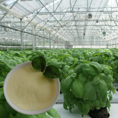 China Soy Protein Hydrolysate Organic Agricultural Fertilizers Amino Acid 80% OMRI List for sale