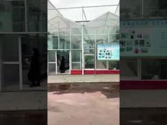 Sichuan Shihong amino acid factory -Lulu