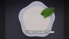 Collagen Peptide 24 Month Shelf Life Powder